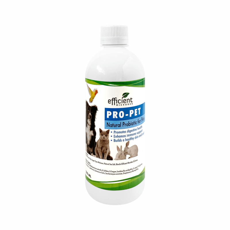 Probiotic For Pets: Pro-Pet | Bio-Sil South Africa